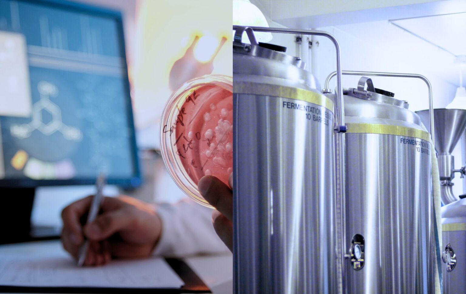 Industrial Enzyme Manufacturer & Supplier | Catalex Bio