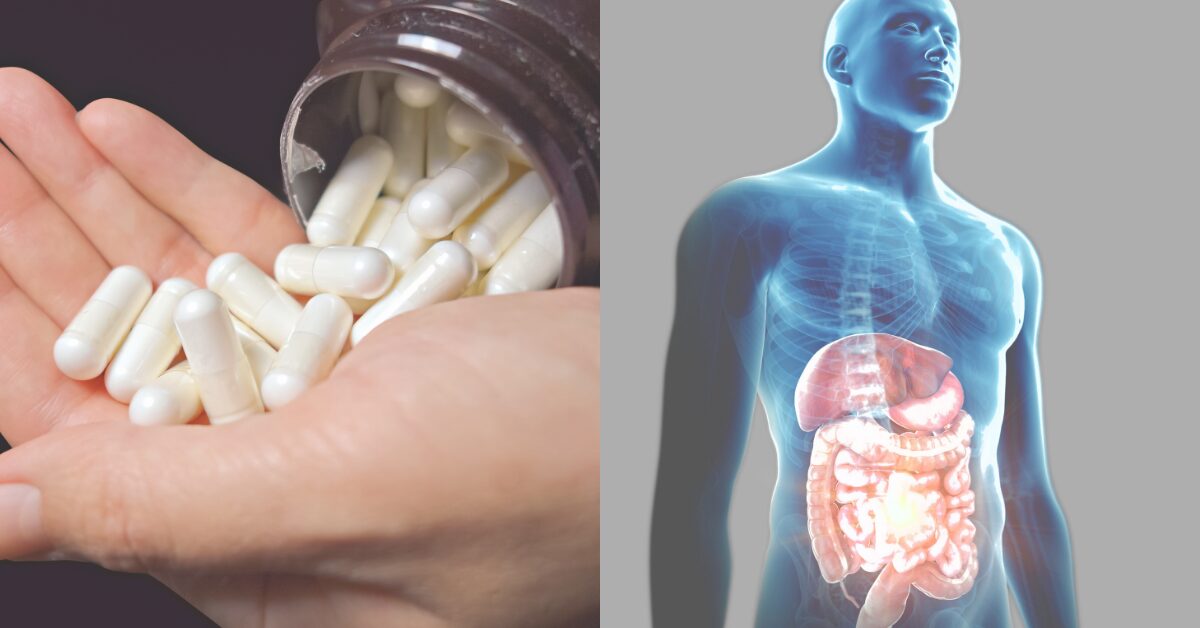 Probiotics Manufacturer & Exporter for Food & Human Health | Bacillus ...