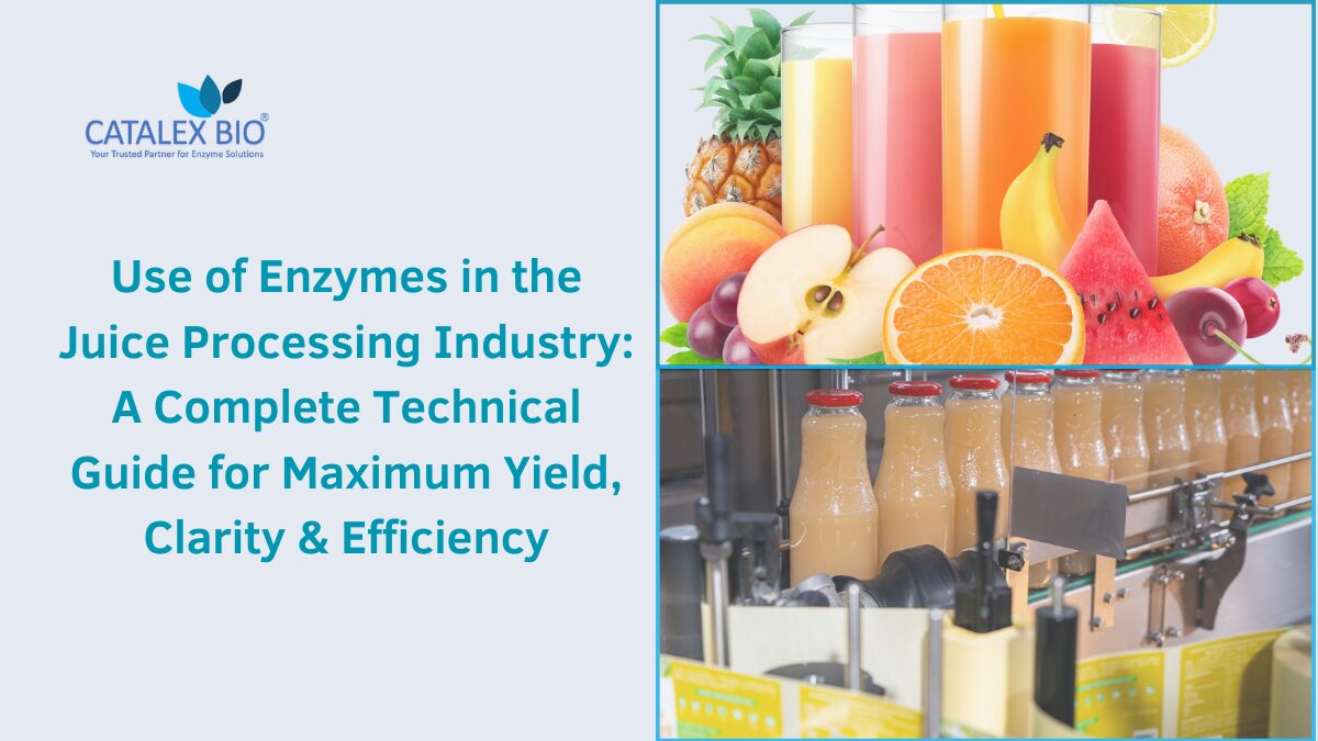 Juice Processing Enzymes by Catalex Bio: Boost Yield & Clarity